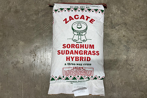 Turnerseed Sorghum Sudangrass Hybrid Zacate